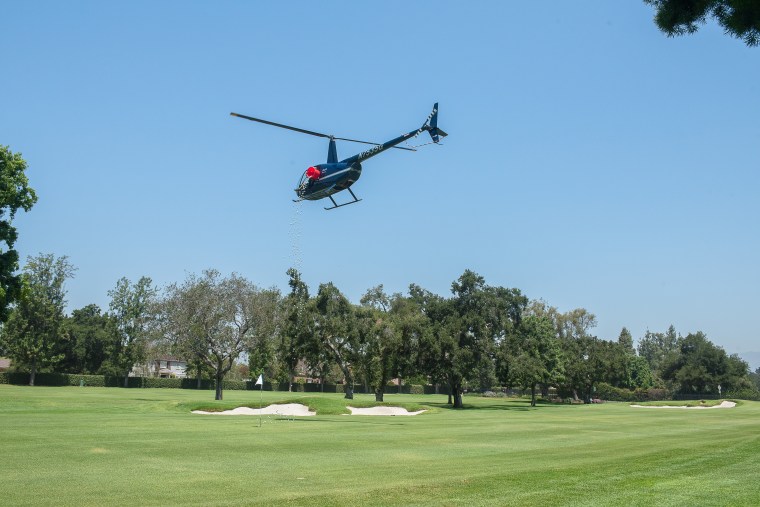 HELICOPTER BALL DROP – Ava Alexandar